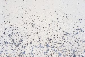 14 Wall Texture Types to Increase Your Home’s Appeal - Homenish