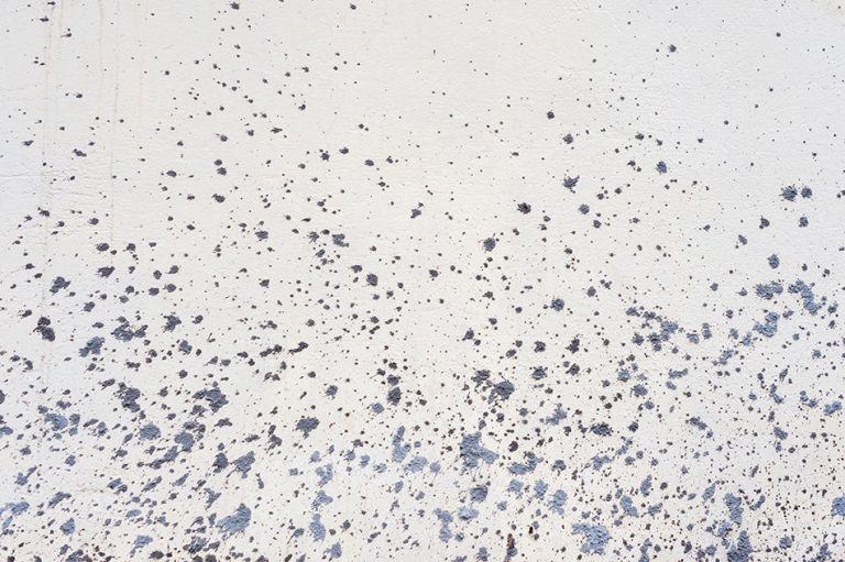 14 Wall Texture Types to Increase Your Home’s Appeal