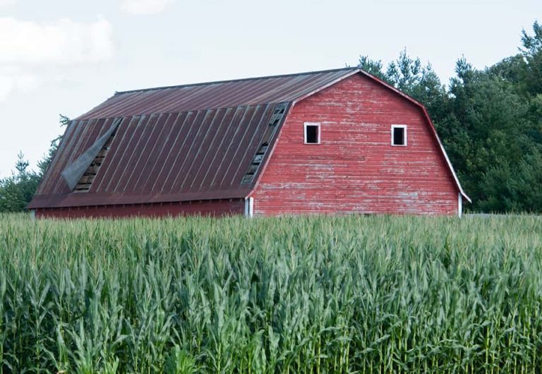 Everything You Need to Know About a Gambrel Roof - Homenish