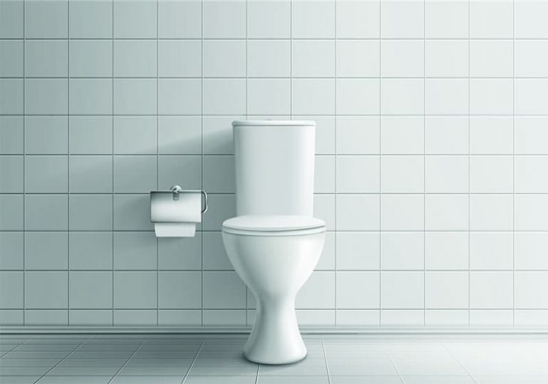 Different Types of Toilets for the Bathroom with Pictures - Homenish