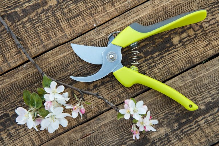 30 Different Types of Tools (Power, Hand, Gardening Tools) with Pictures