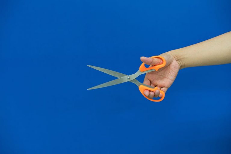 22 Different Types of Scissors and Their Uses (with Pictures)