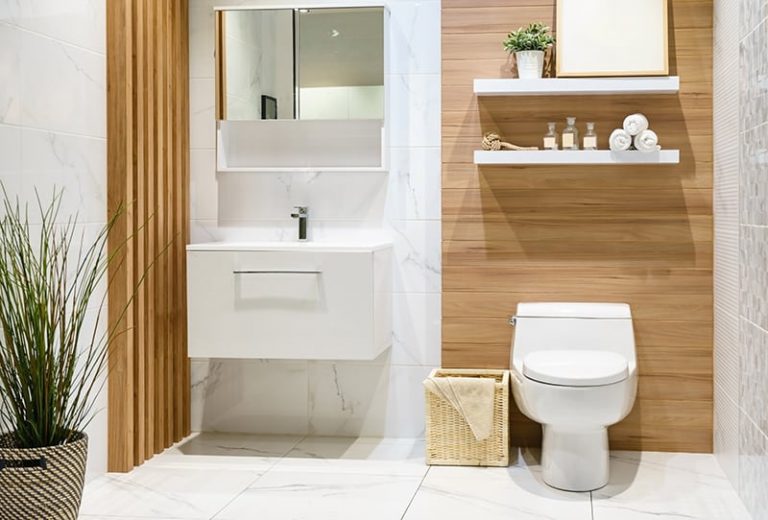 Different Types of Toilets for the Bathroom with Pictures - Homenish