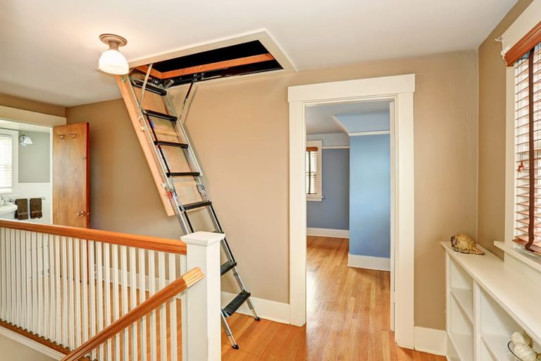 Different Types of Ladders (Inc Pictures & Uses) - Homenish
