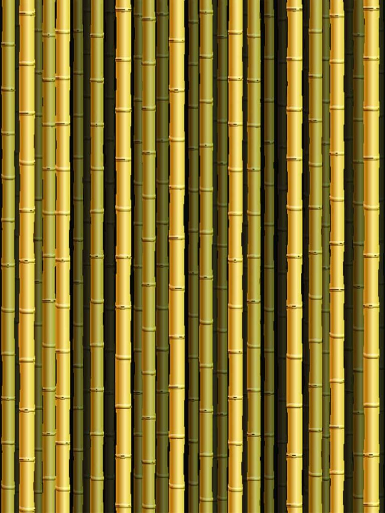 12 Bamboo Decoration Ideas to Style Your Home