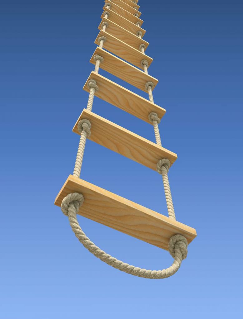 Different Types of Ladders (Inc Pictures & Uses)