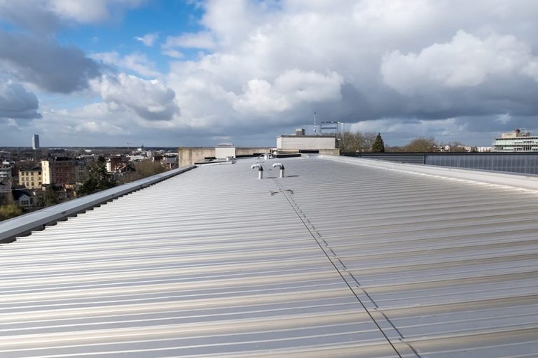 Metal Roofing Types (Materials, Styles, Roofing Installation) Explained ...
