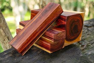 17 Most Expensive Wood - Can You Name Them? - Homenish