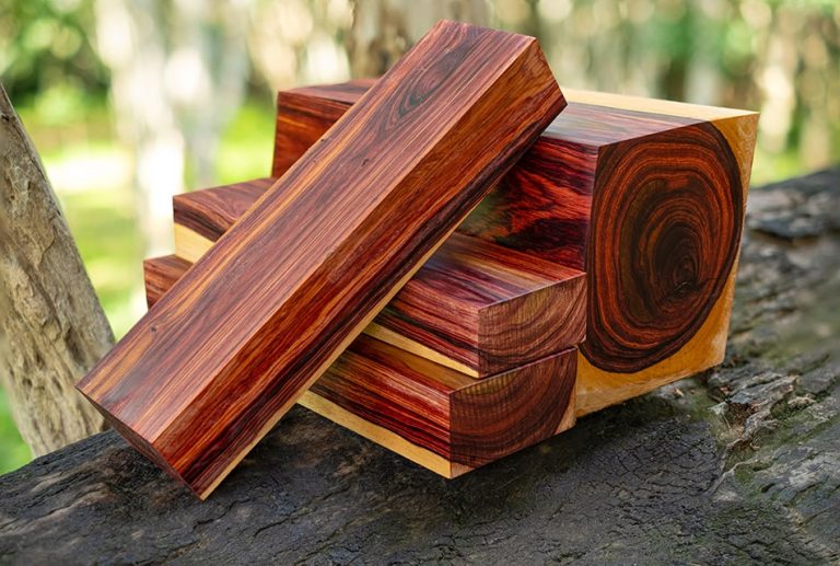 17 Most Expensive Wood - Can You Name Them? - Homenish