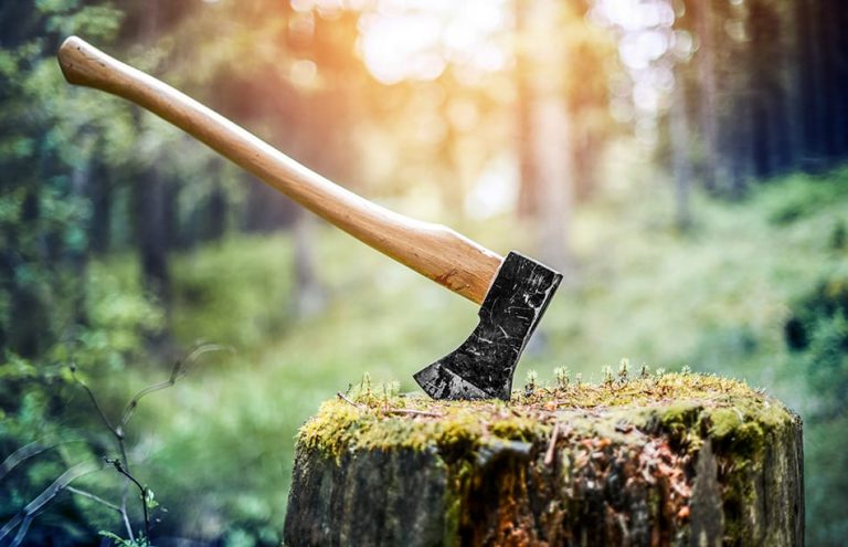 Parts of an Ax with Illustrations - Homenish