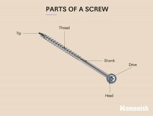 Parts of a Screw (with Illustration)