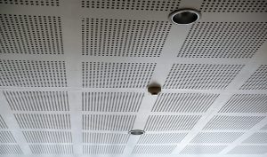 Acoustic Ceilings - All You Need to Know