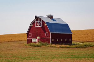 Parts of a Barn Explained (with Names & Floor Plan) - Homenish