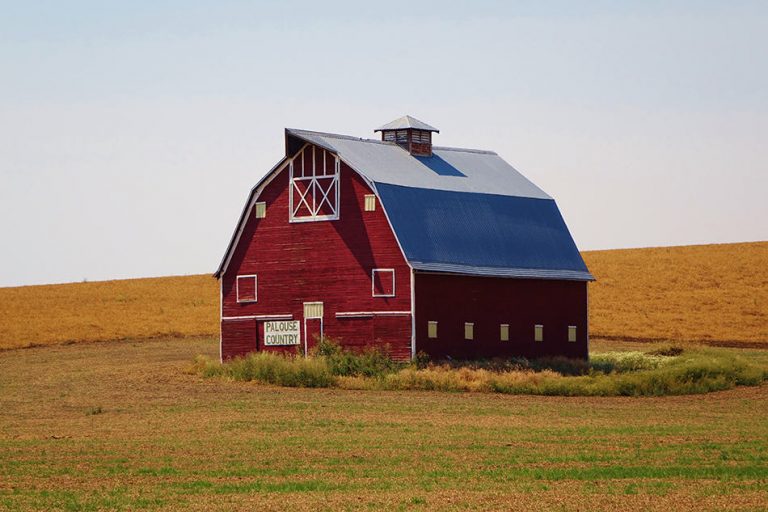 Parts of a Barn Explained (with Names & Floor Plan) - Homenish