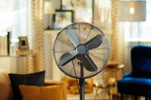 11 Different Types of Fans and Their Uses (with Pictures) - Homenish