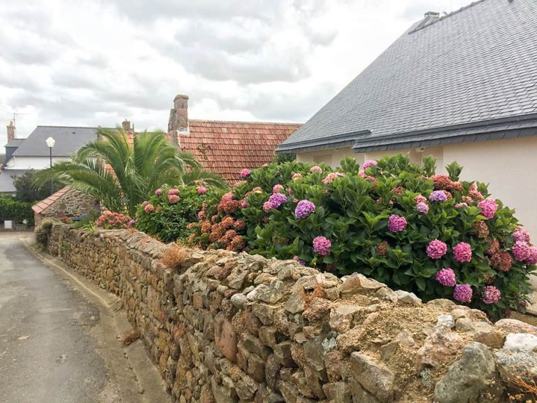 13 Types and Styles of Fences with Pictures