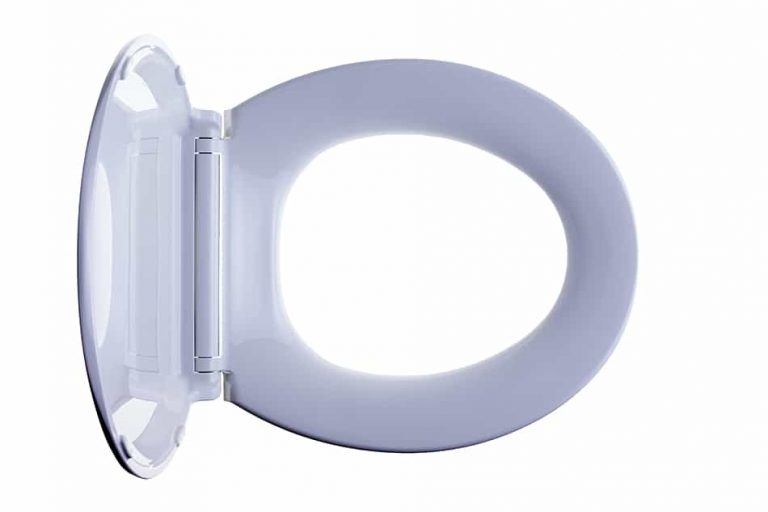 Different Types of Toilet Seats: From Shape to Material and Beyond ...