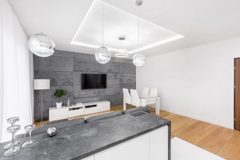 Drop Ceiling (What it is, Pros and Cons, Where to Use and Examples ...