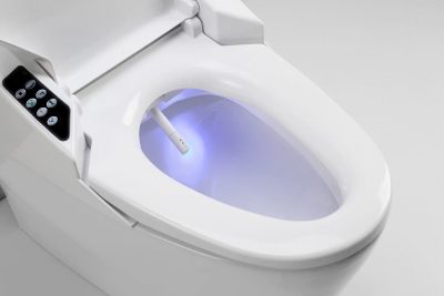 Incinerating Toilets Pros And Cons Homenish