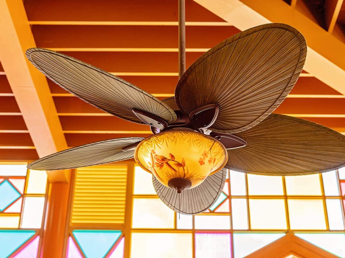 Picking A Ceiling Fan Color | Shelly Lighting