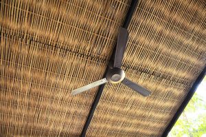 What Color Ceiling Fan Should You Get (Photos Included)?