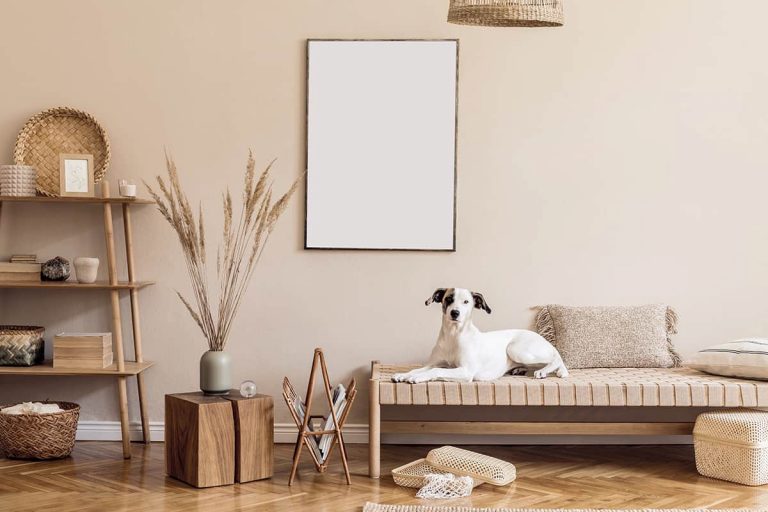 What Are Neutral Colors? (And How to Use Them)