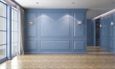 What Color is Periwinkle? Its Shades and How to Use it