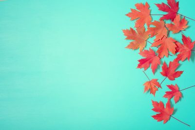 14 Colors that Go Well with Aqua (with Pictures) - Homenish