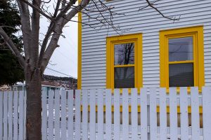 20 Paint Colors for Wood Trim