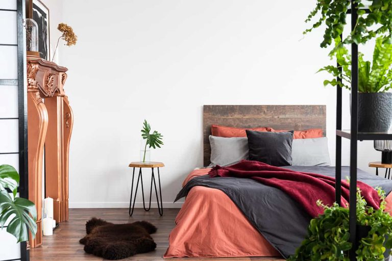 9 Colors that Go Well with Salmon