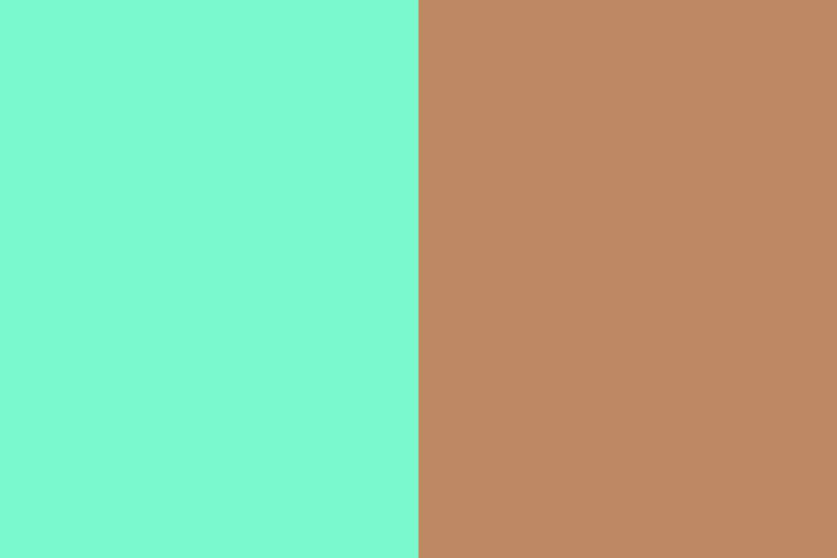 8 Colors That Go Well With Aquamarine with Pictures Homenish