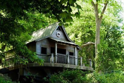 9 Treehouse Color Ideas for a Homely Hideaway