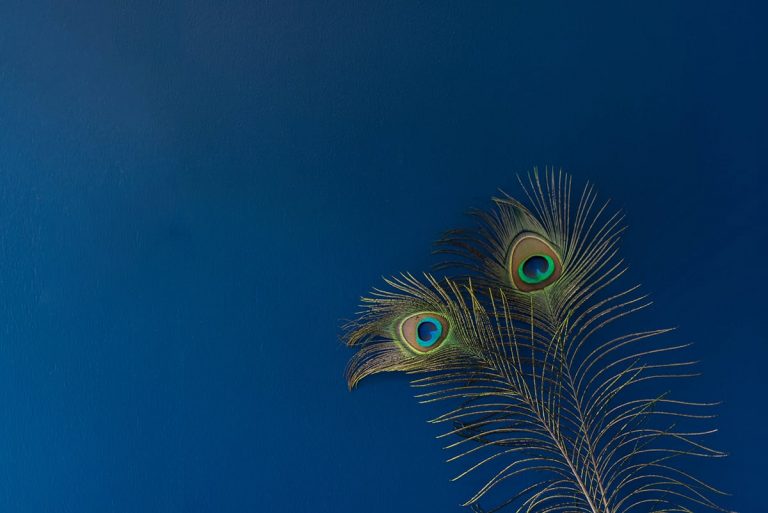 6 Beautiful Colors that Go with Indigo (with Pictures) - Homenish