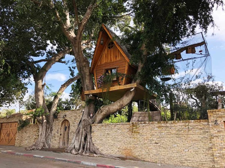 9 Treehouse Color Ideas for a Homely Hideaway - Homenish