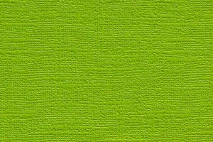 What Color is Chartreuse Color? Colors that Go with Chartreuse