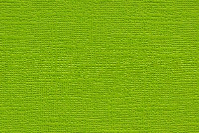 What Color is Chartreuse Color? Colors that Go with Chartreuse