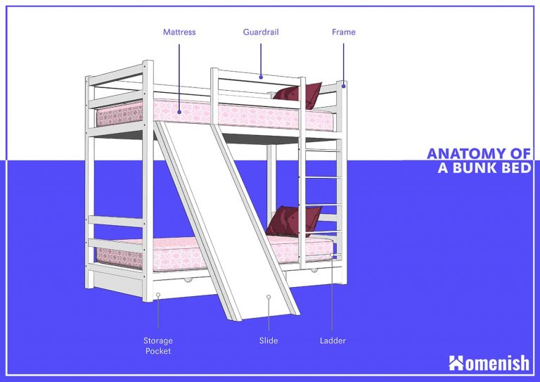 Parts of a Bunk Bed Explained (with a 3D Diagram)