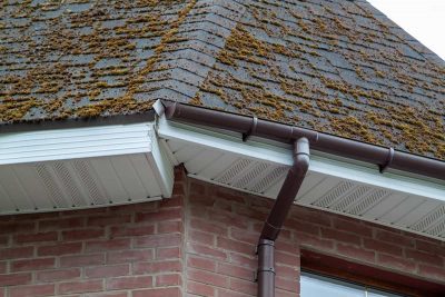 What Color Gutters for a Brick House (4 Popular Options)