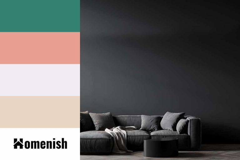 What Color is Jet Black? Colors that Go with Jet Black - Homenish
