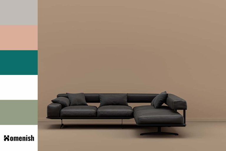 Colors Go with Tan and Black (5 Excellent Combinations)