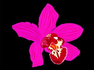 What Color is Orchid? Colors that Go with Orchid - Homenish