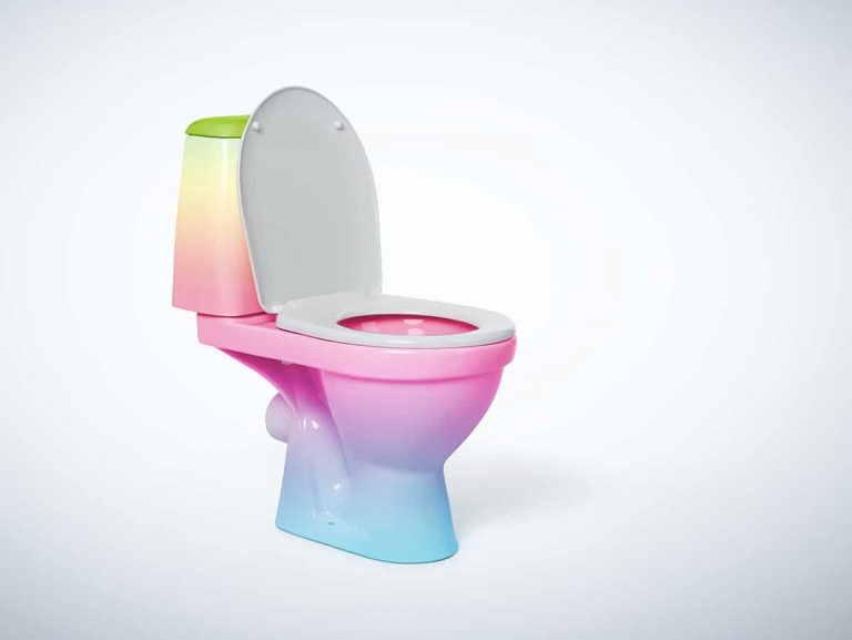 Top 6 Common Toilet Colors