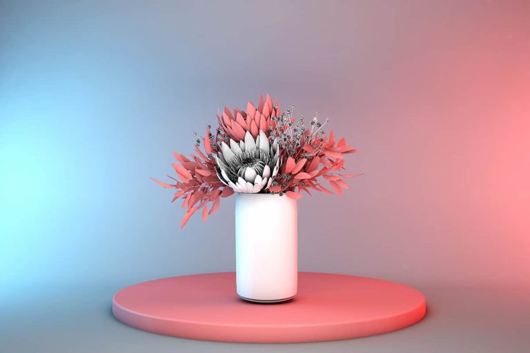 What Are the Flower Vase Dimensions?