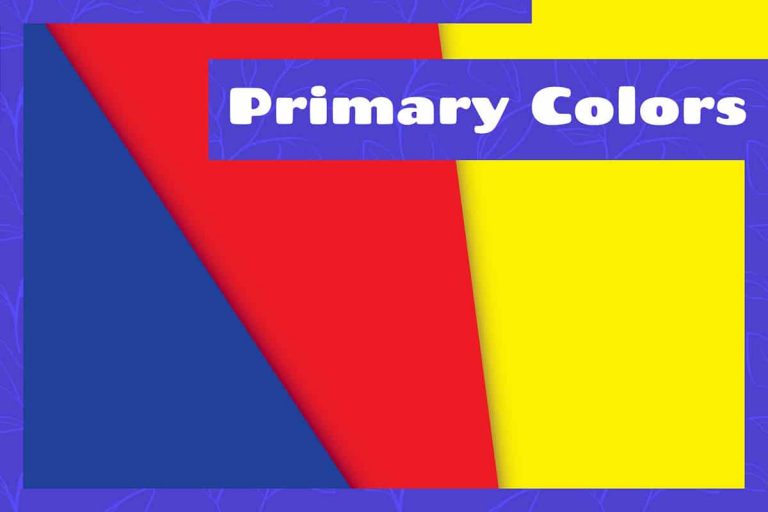 What Are Primary Colors? How to Make and Use Them - Homenish
