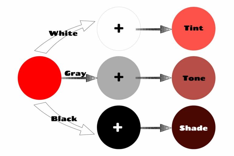 Tints, Tones, and Shades Explained - Homenish