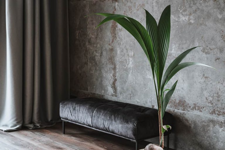 What Color Is Carbon? How to Use It In Home Decor